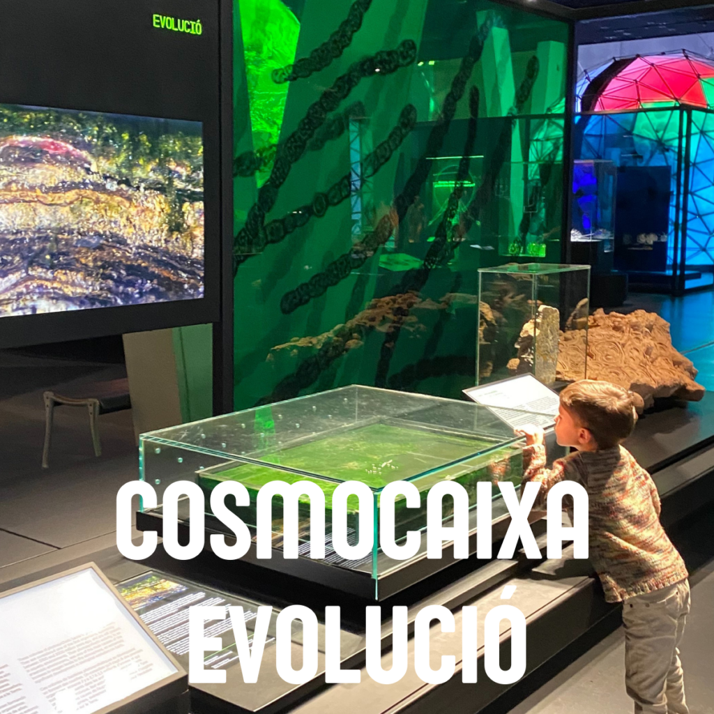Cosmocaixa Evolució - Science into Images